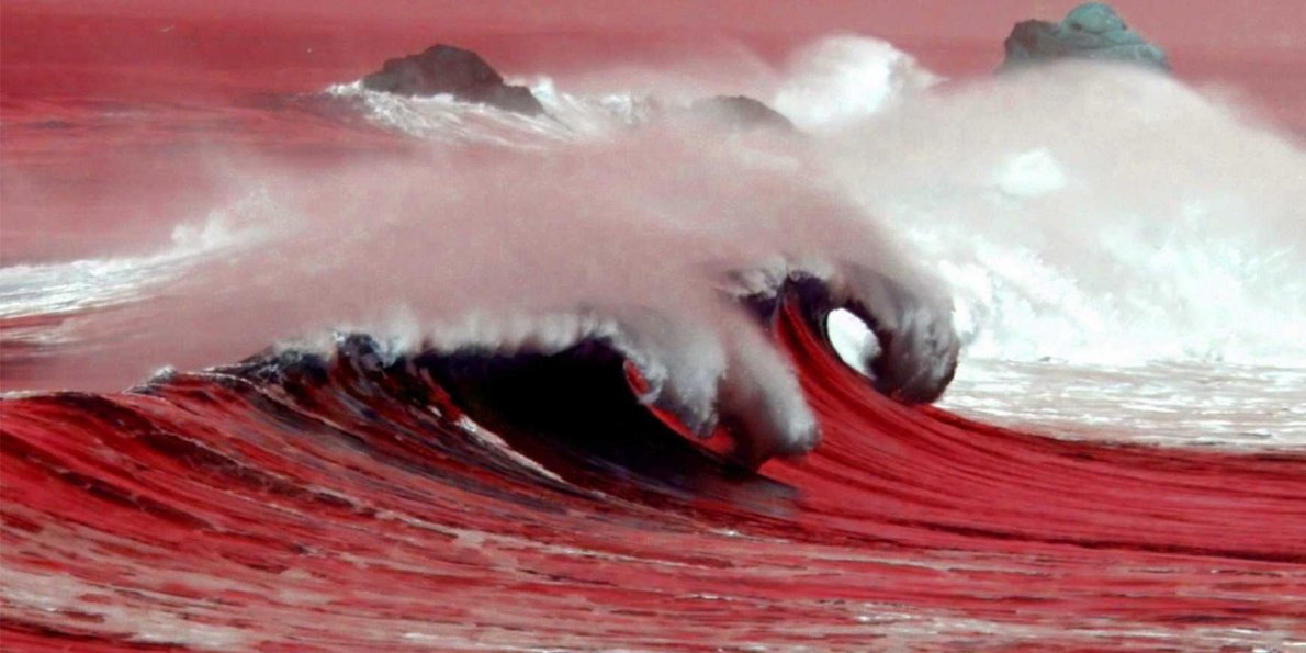 Roll Tide Roll – Tennessee Education Report